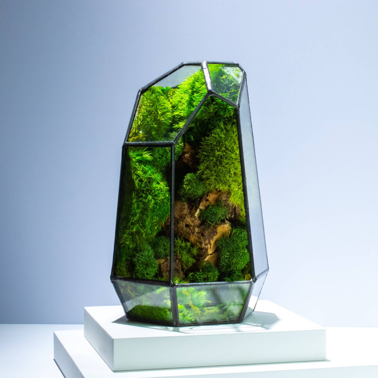 Preserved Moss Art: Best Practices and Tips – ome