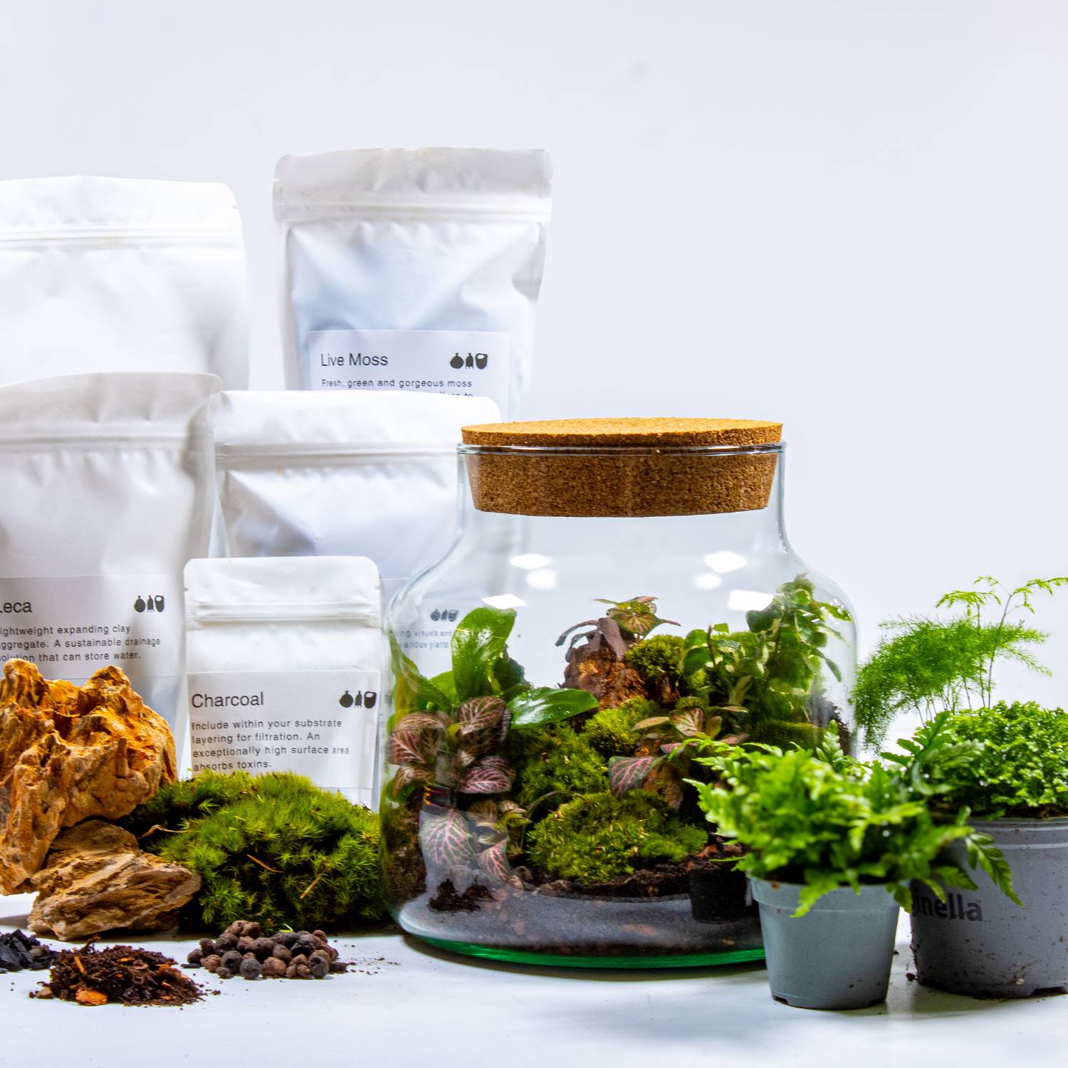 Terrarium Kit Instructions: How to Build Your Terrarium – ome