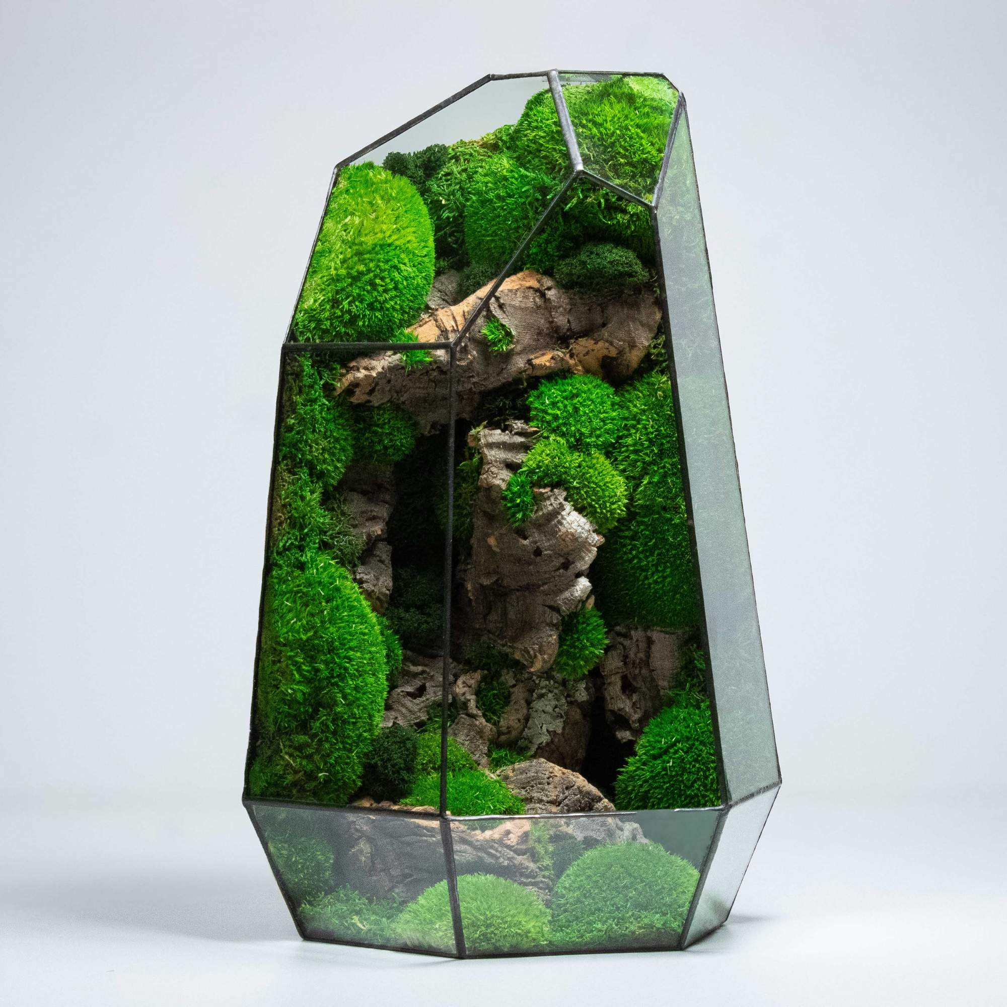 Buy Prism Geometric Terrarium | For Sale | ome