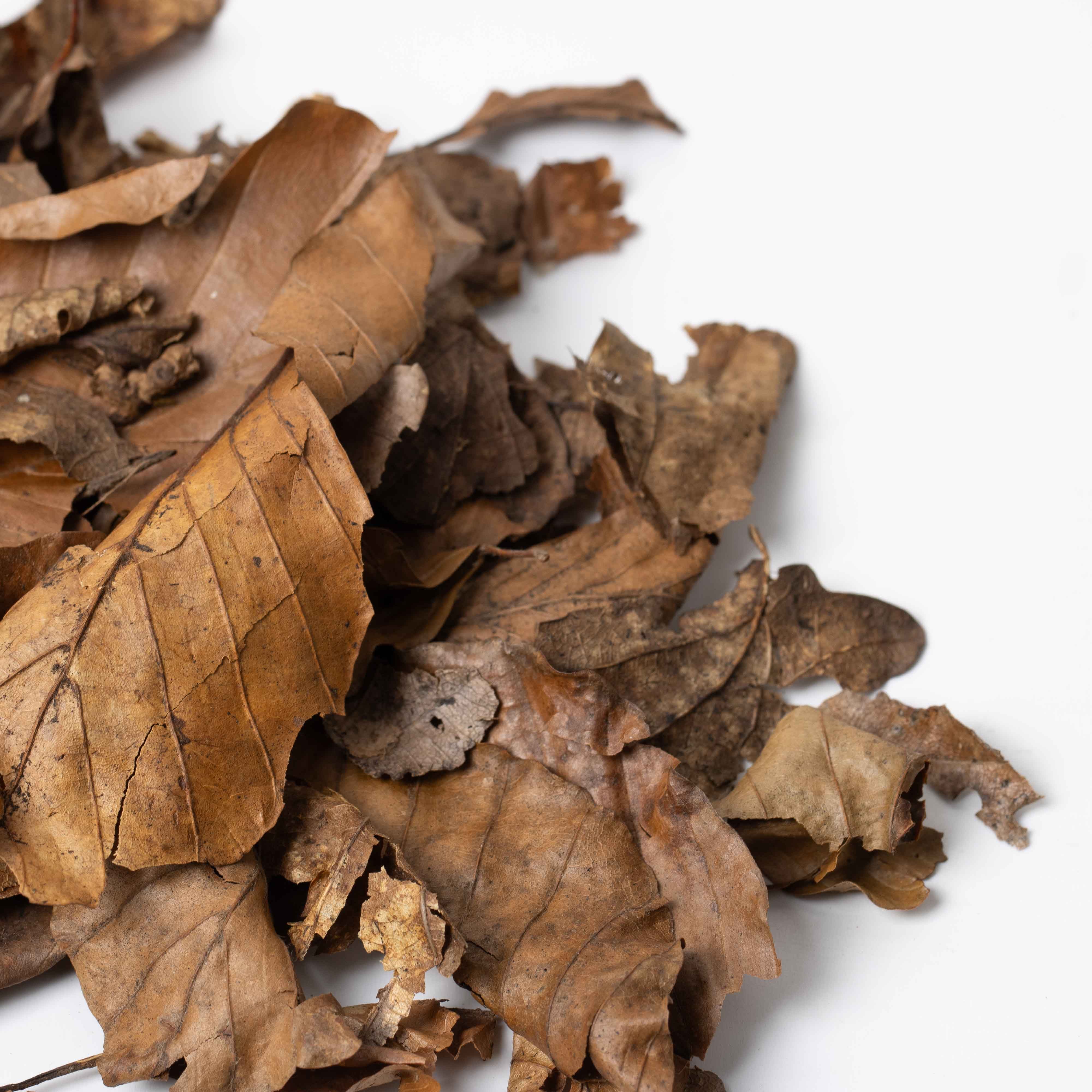 Leaf Litter Mix | For Sale | ome